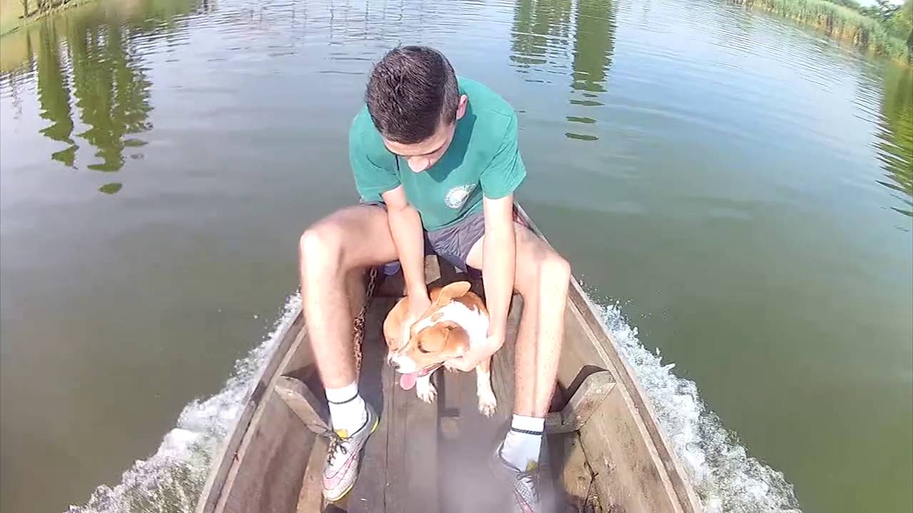 Voznja camcem kanal Dunav – Tisa – Dunav - YouTube