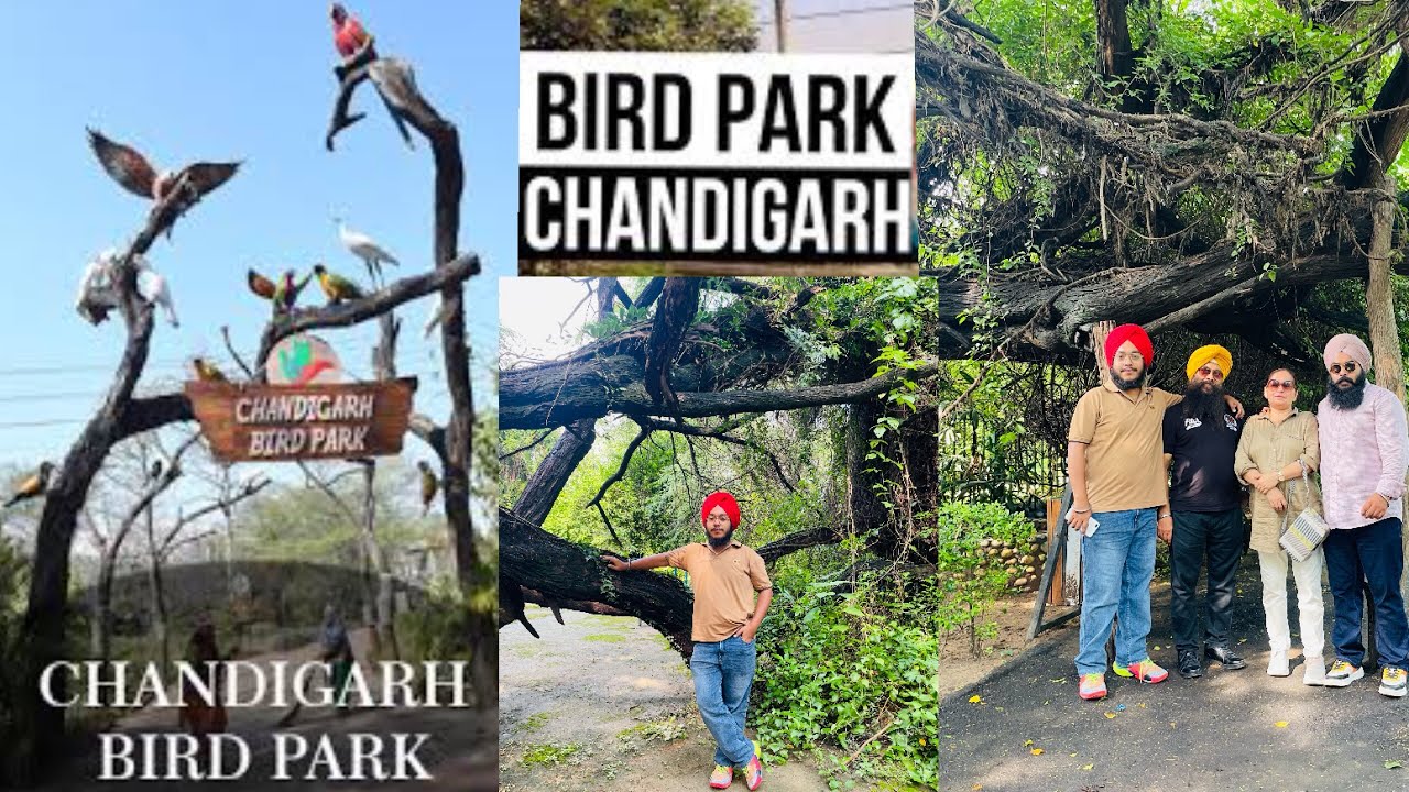 Chandigarh Bird Park Full Enjoy - YouTube