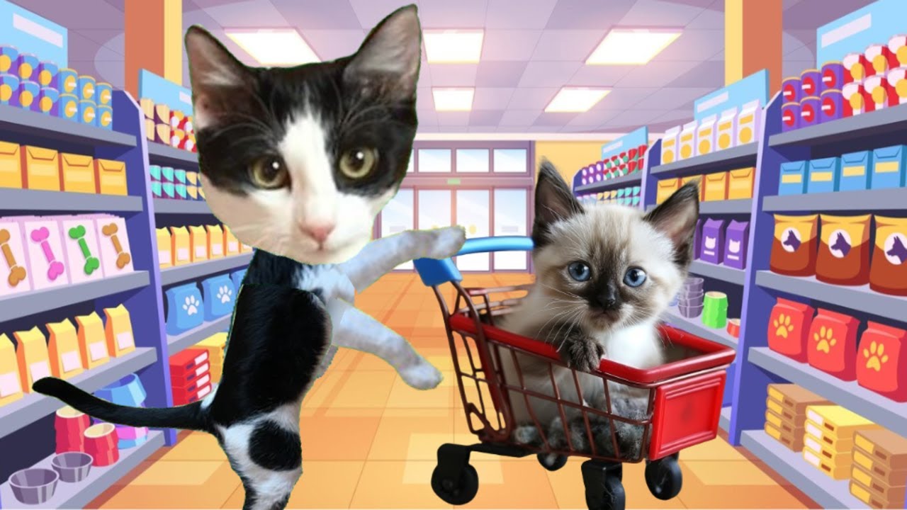 24 HORAS COMPRANDO TODO PARA EL BEBE GATITO en tienda de animales ...