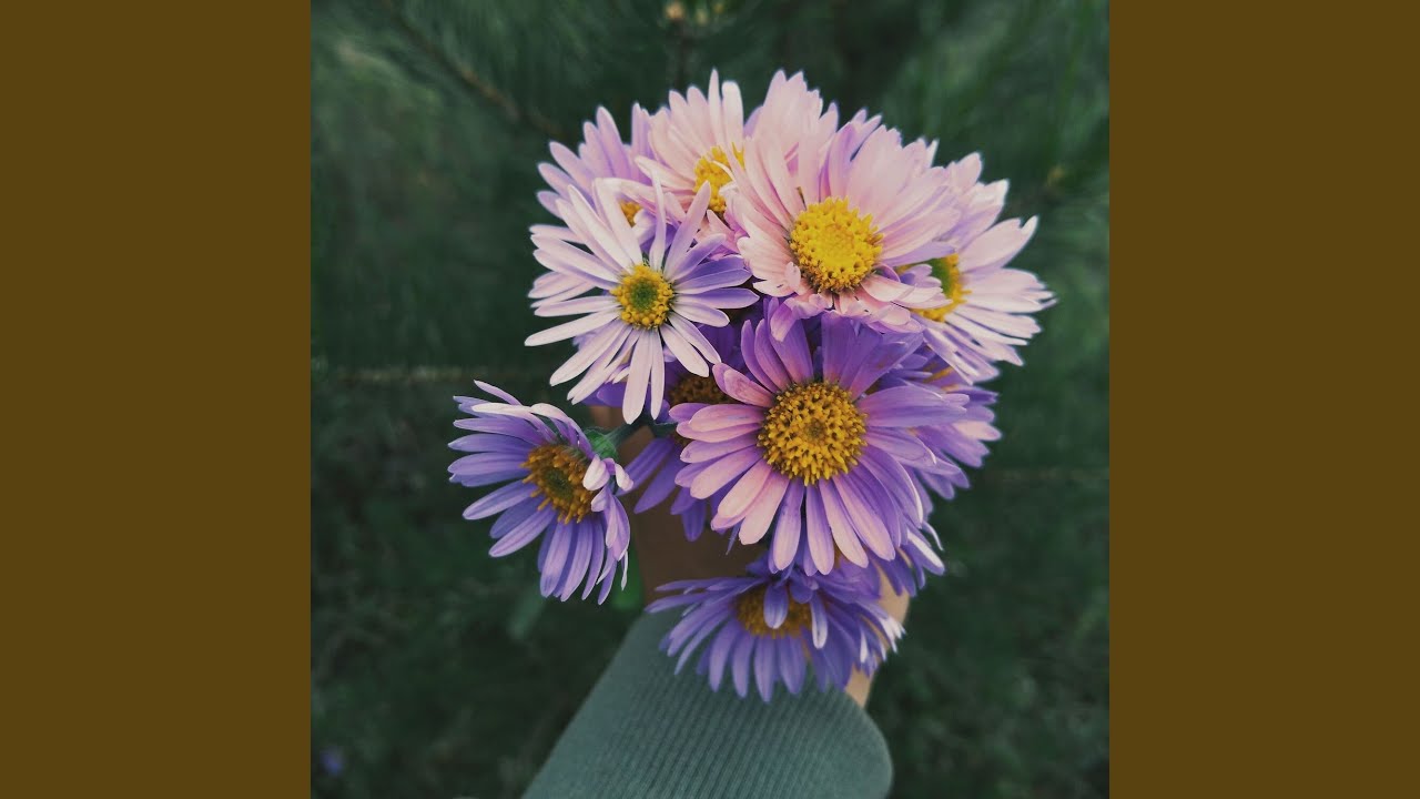 Connor Palmer - YouTube