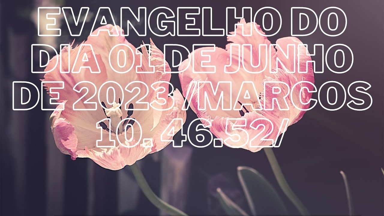 Evangelho do dia 01 de Junho de 2023 /Marcos 10. 46.52/ - YouTube