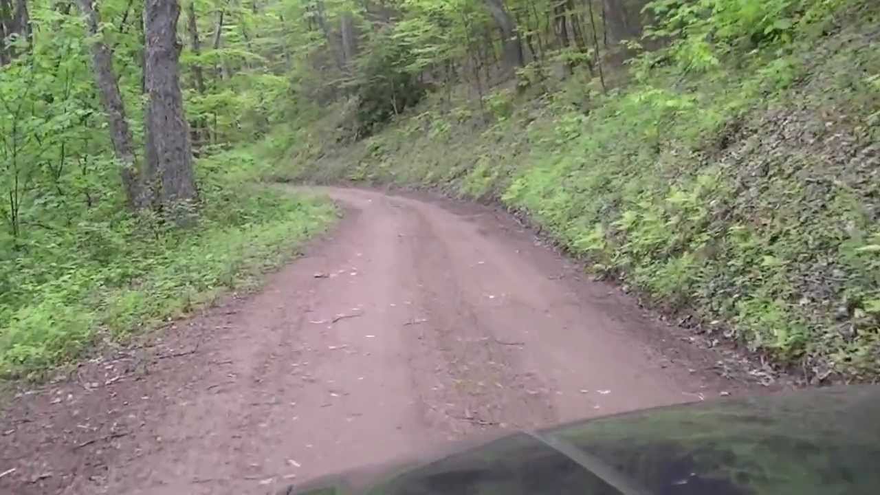 Heintooga Round Bottom Road, Great Smoky Mountains National Park. - YouTube