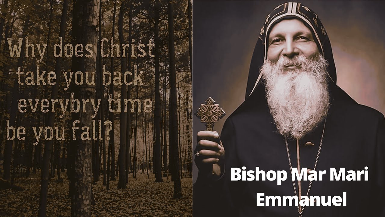 Why Does Christ Take You Back Every Time You Fall? - Mar Mari Emmanuel ...