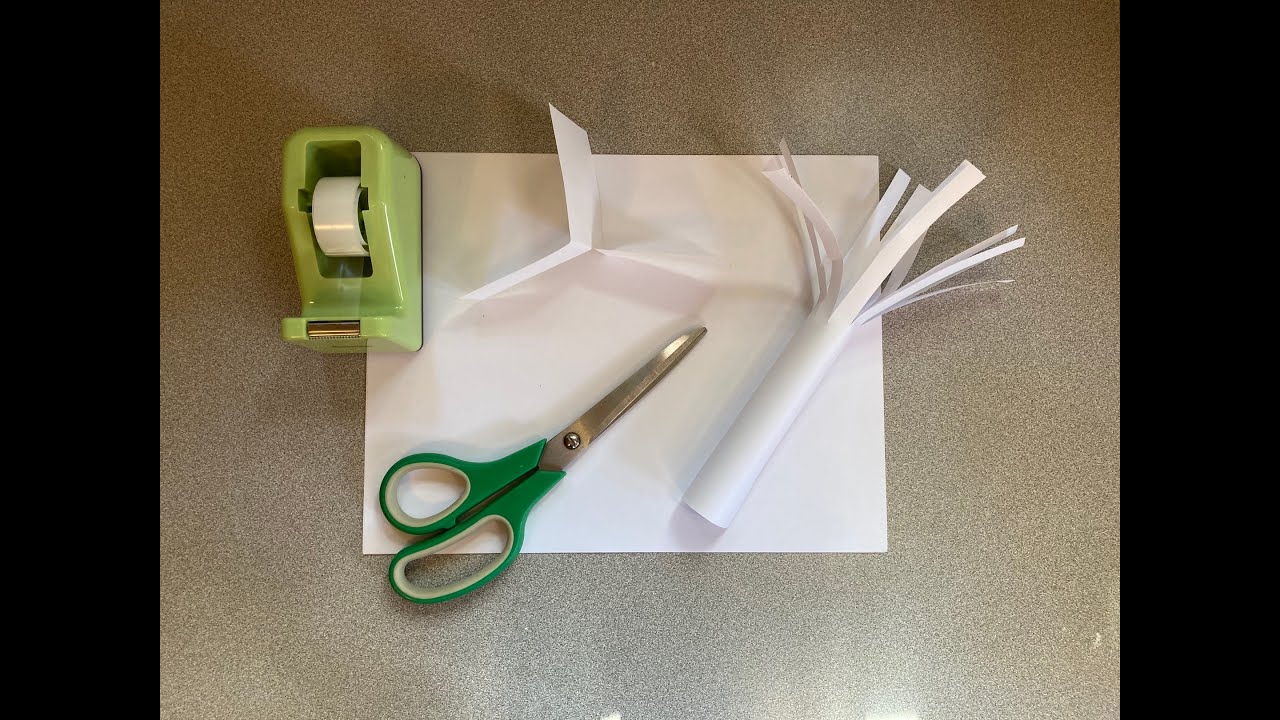 Seed Design Experiment - YouTube