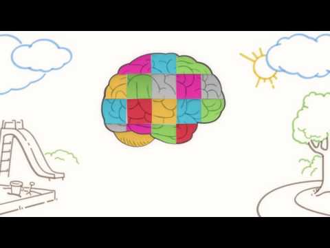 How Brains are Built The Core Story of Brain Development - YouTube
