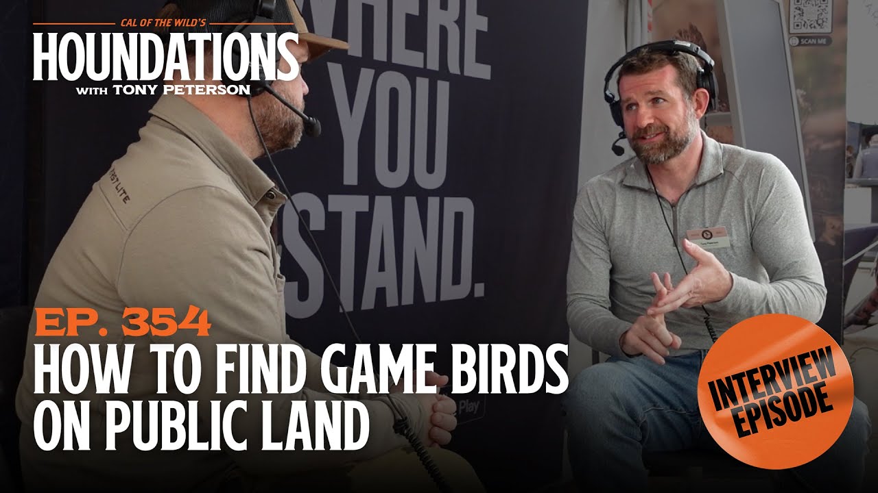 How to Find Game Birds on Public Land No Matter Where You Live ...
