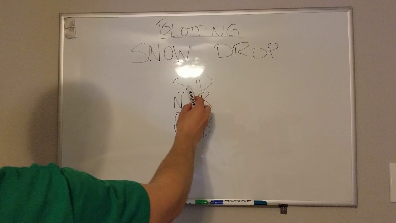 Blotting (Southern, Northern, Western) Mnemonic for Genetics Class ...