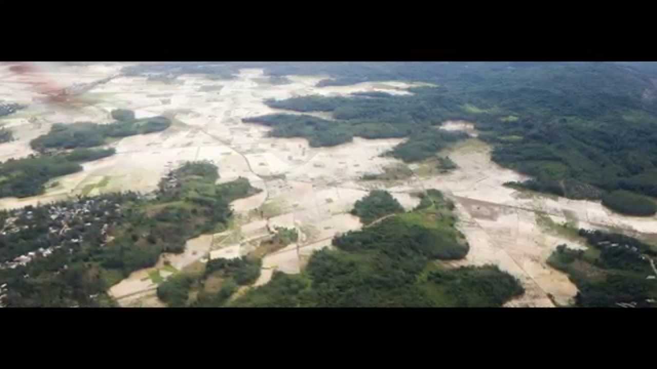 A short slideshow on deforestation - YouTube