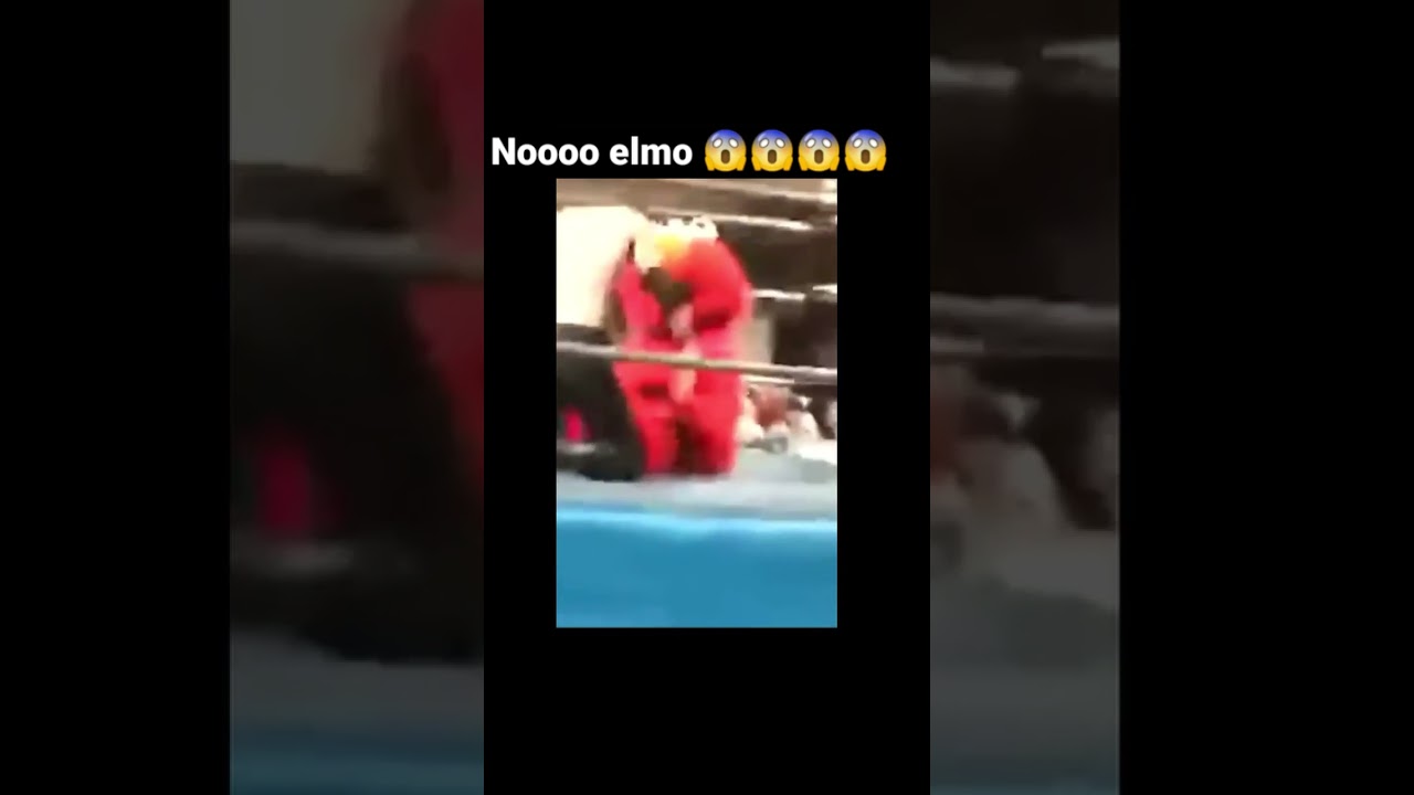 elmo in wwe - YouTube