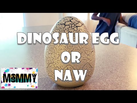 ISSA Tuesday - YouTube