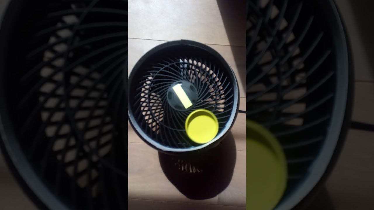 Strange fan phenomenon - YouTube