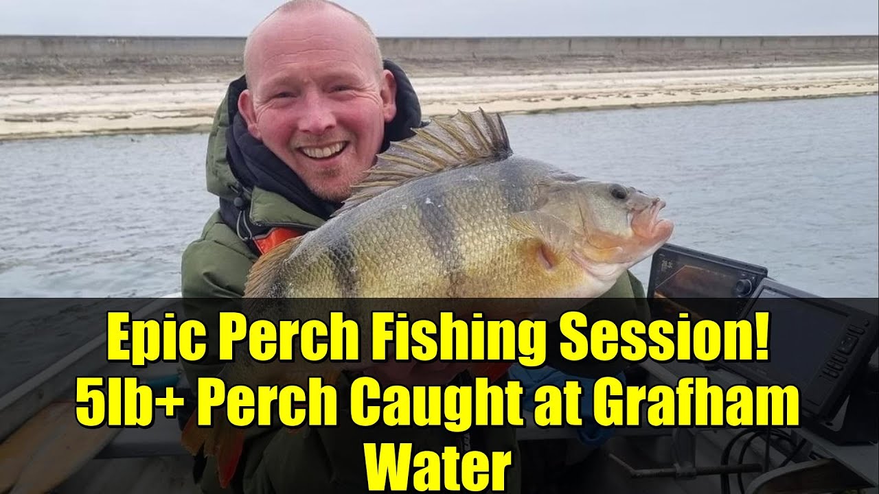 Epic Perch Fishing Session! 5lb+ Perch Caught at Grafham Water ...