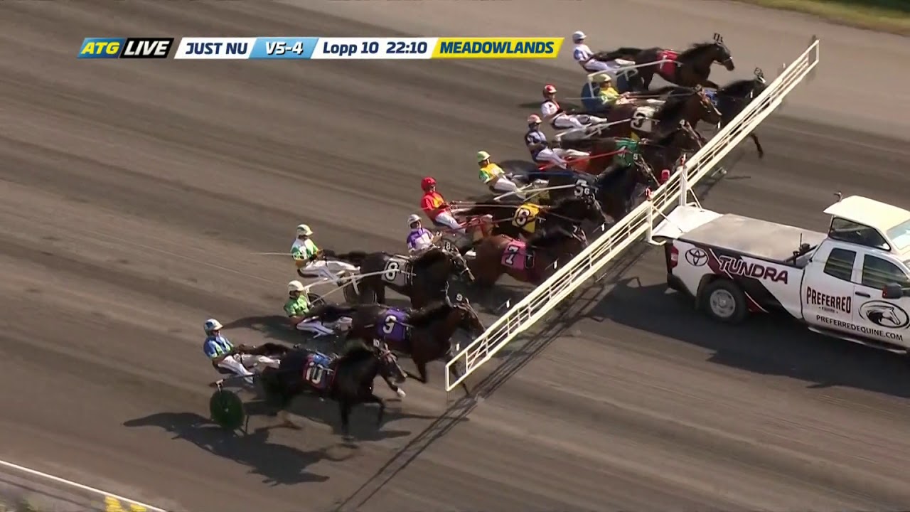 John Cashman Memorial 2019, Crystal Fashion - YouTube