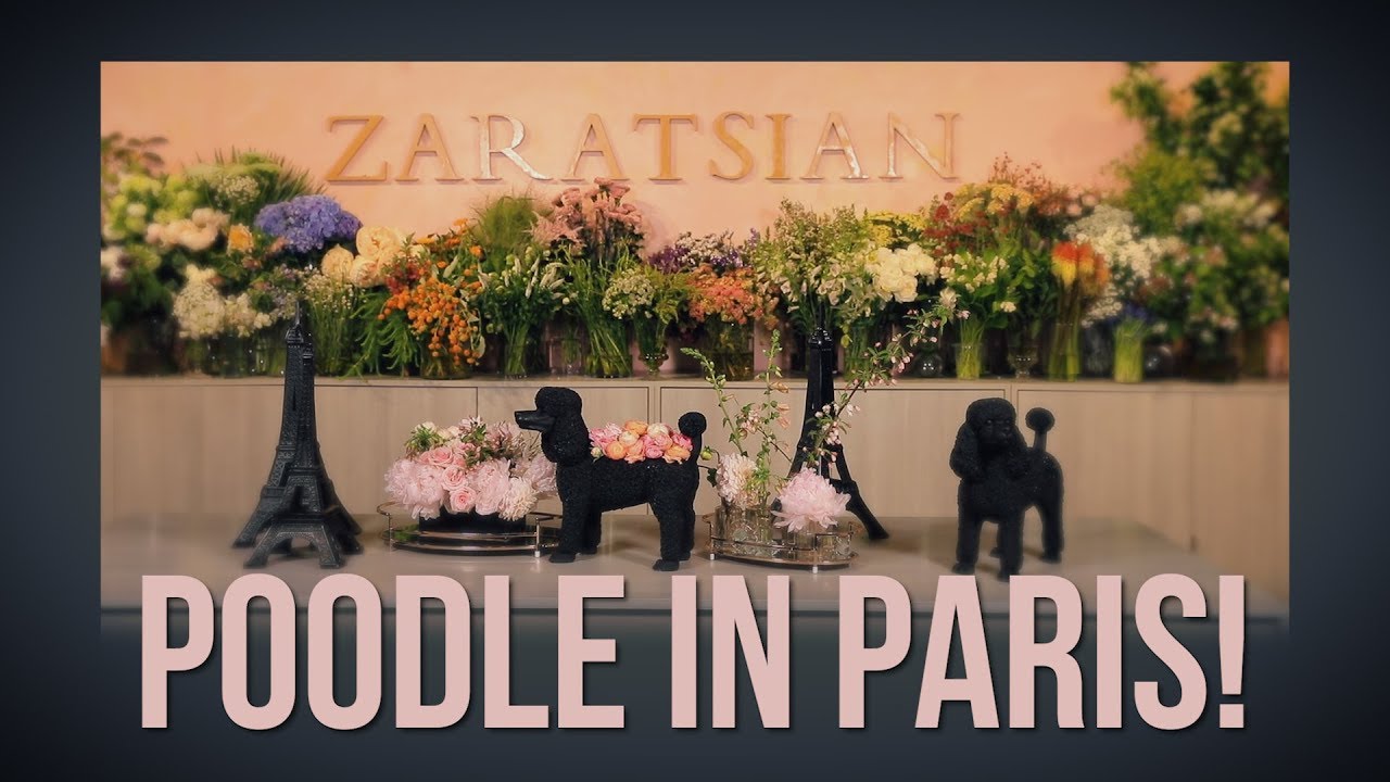 Are Poodles Parisian