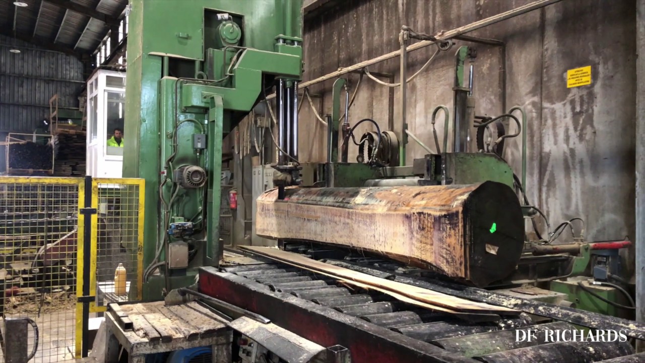 Logs being prepared for wood veneer production. - YouTube