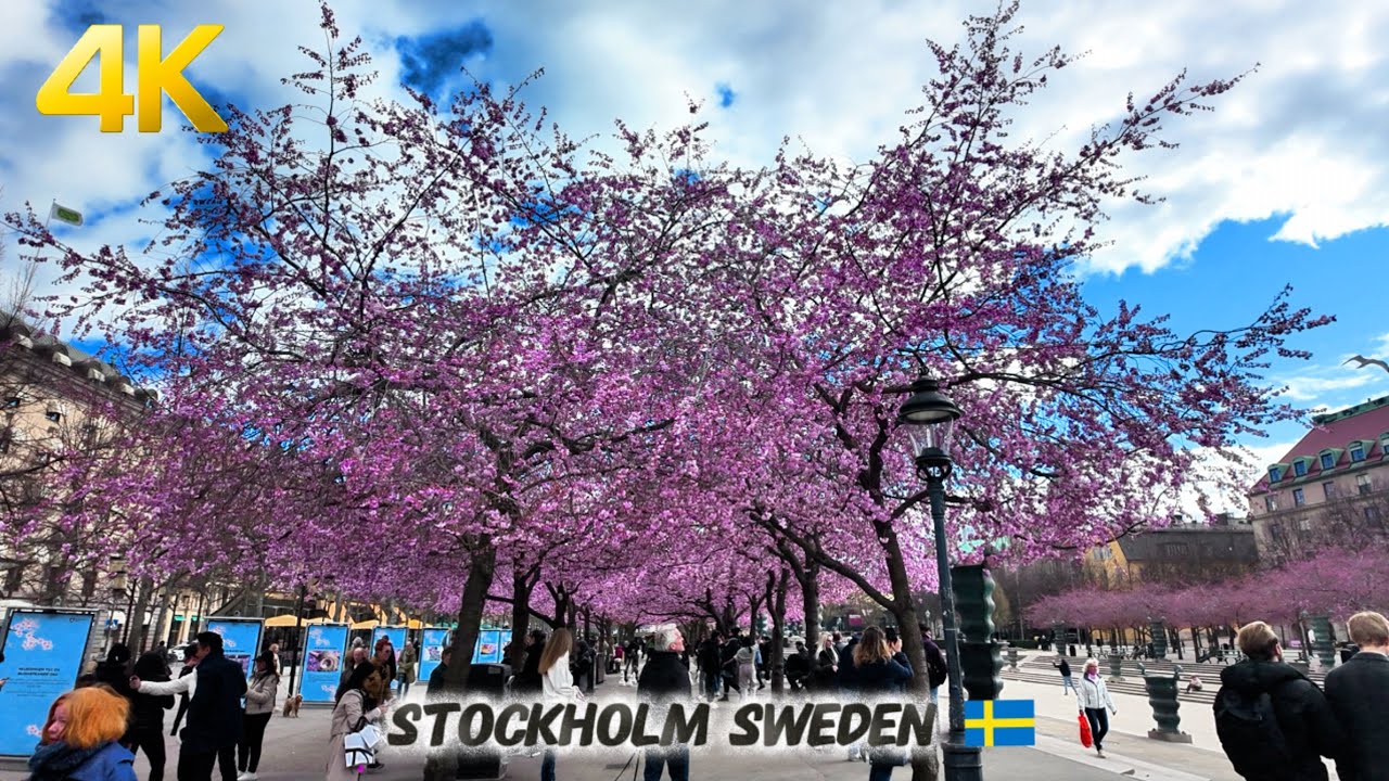 The most beautiful garden in Stockholm Sweden - Kungsträgården - YouTube