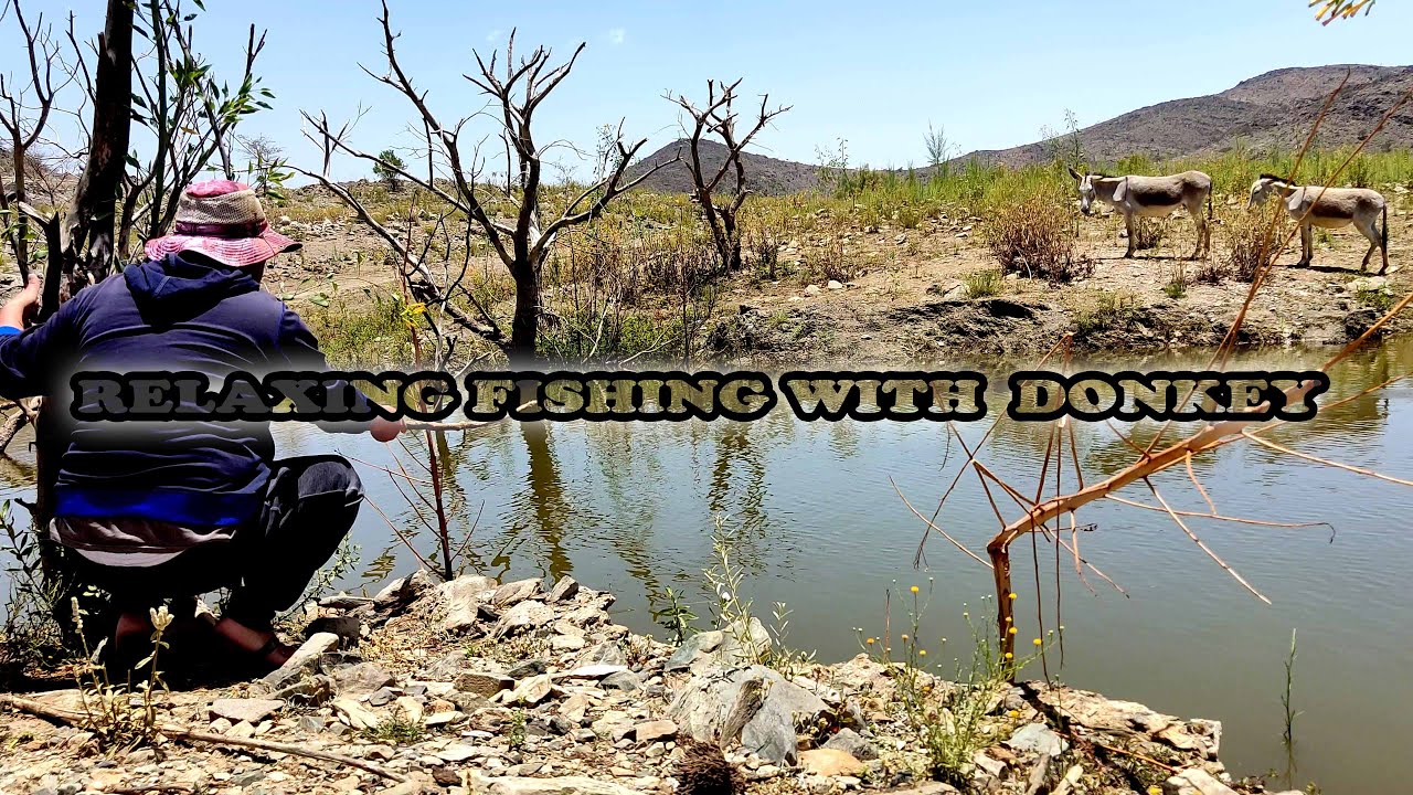 RELAXING FISHING WITH DONKEY | CATCH & COOK - YouTube