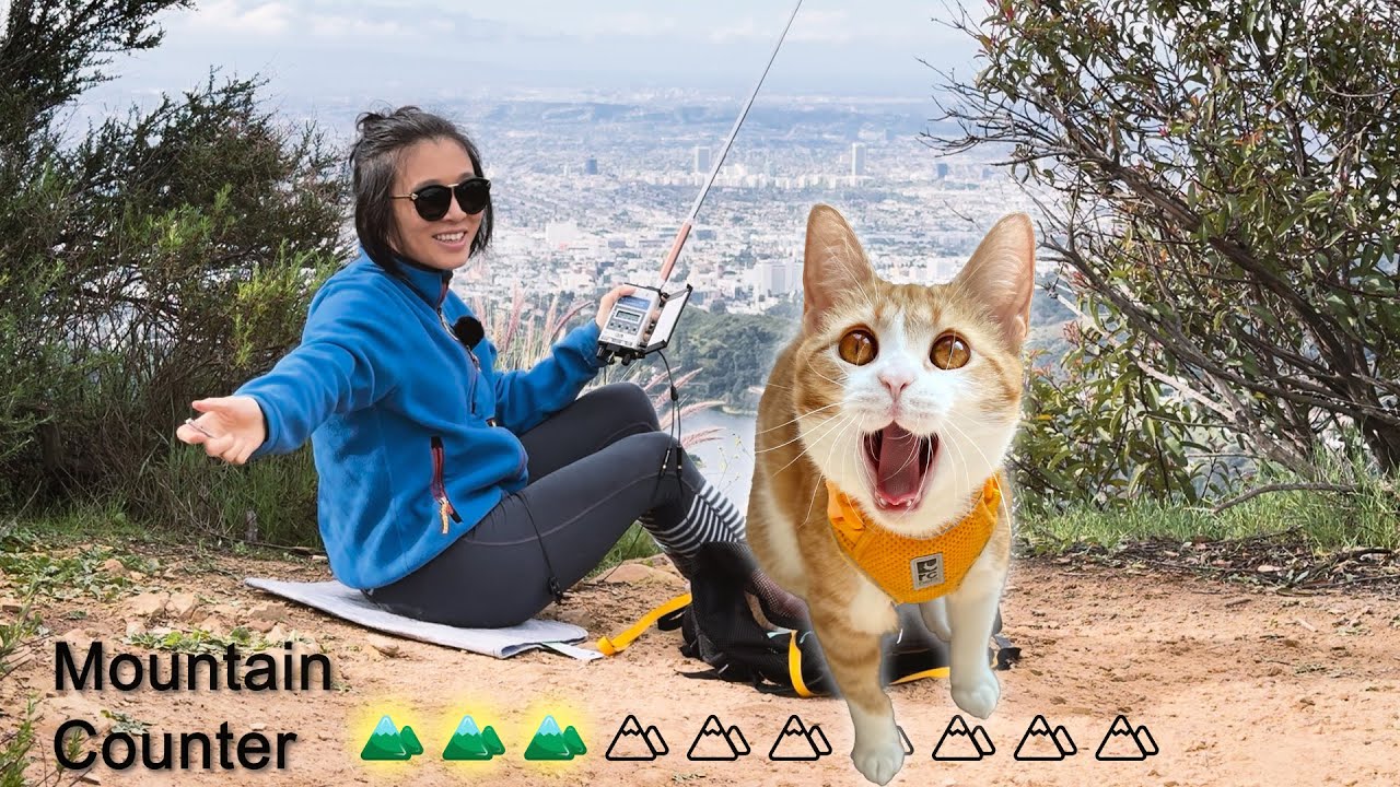 SOTA Cat meets the Elecraft KH1 | Morse Code with Cat (Beginner) - YouTube