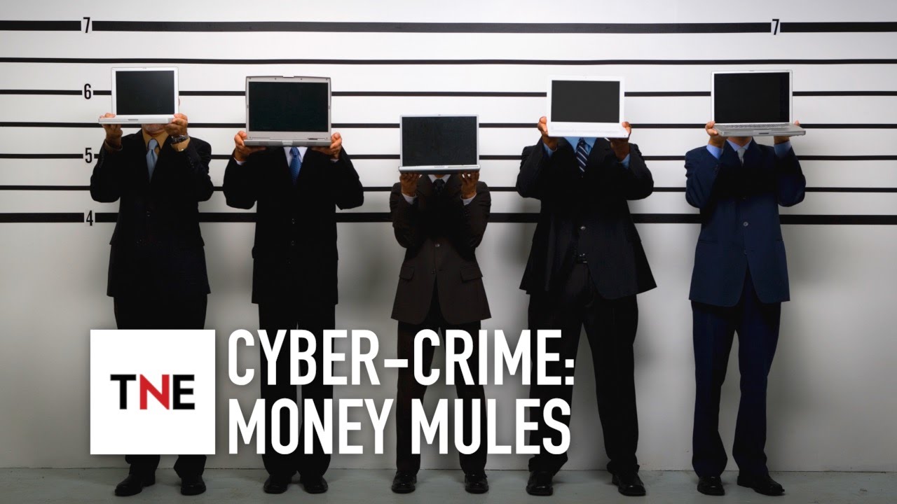Money mules and other tricks of the cyber criminal | The New Economy ...