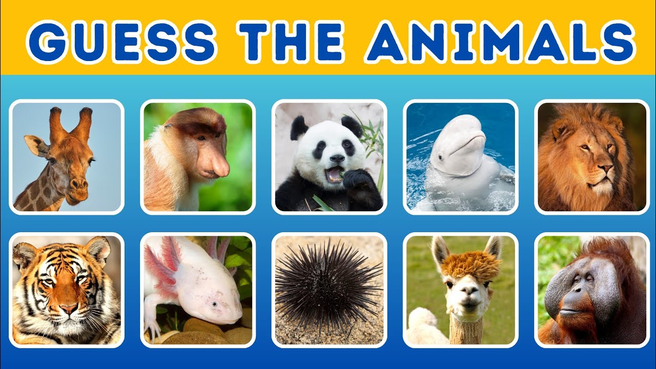 Guess The Animal In Just 4 Seconds | Easy, Medium, Hard, Impossible | # ...