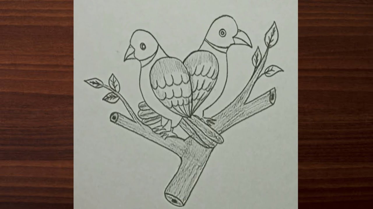 How To Draw Love Birds From Heart | Birds Drawing Step By Step l Bird ...