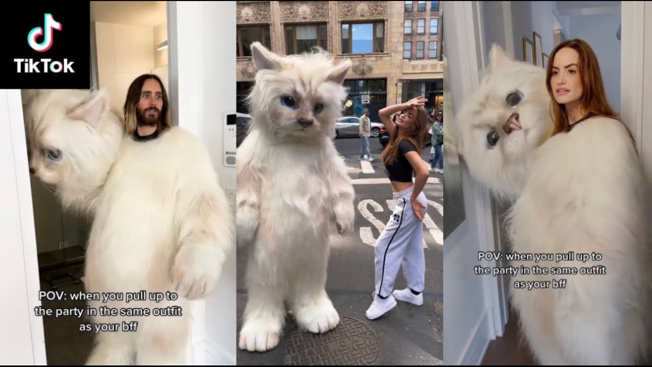 Jared Leto & HaleyyBaylee TikTok Compilation - YouTube