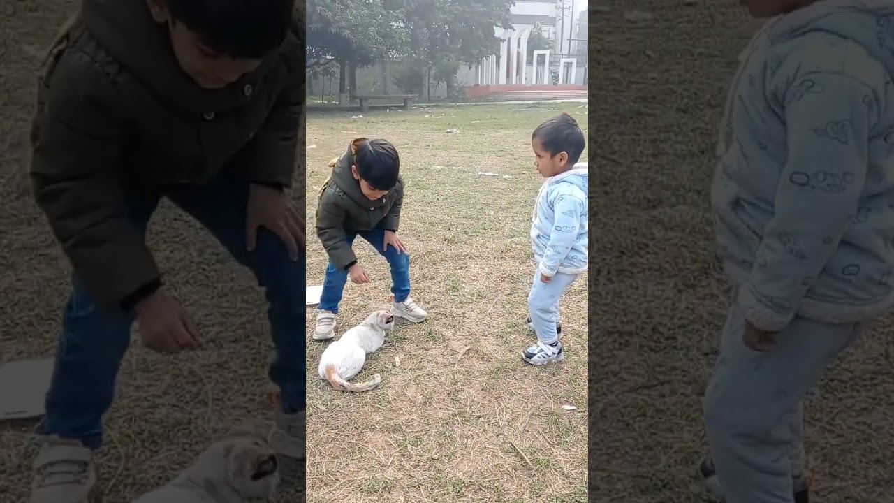 sehran with ehan 🥰 - YouTube