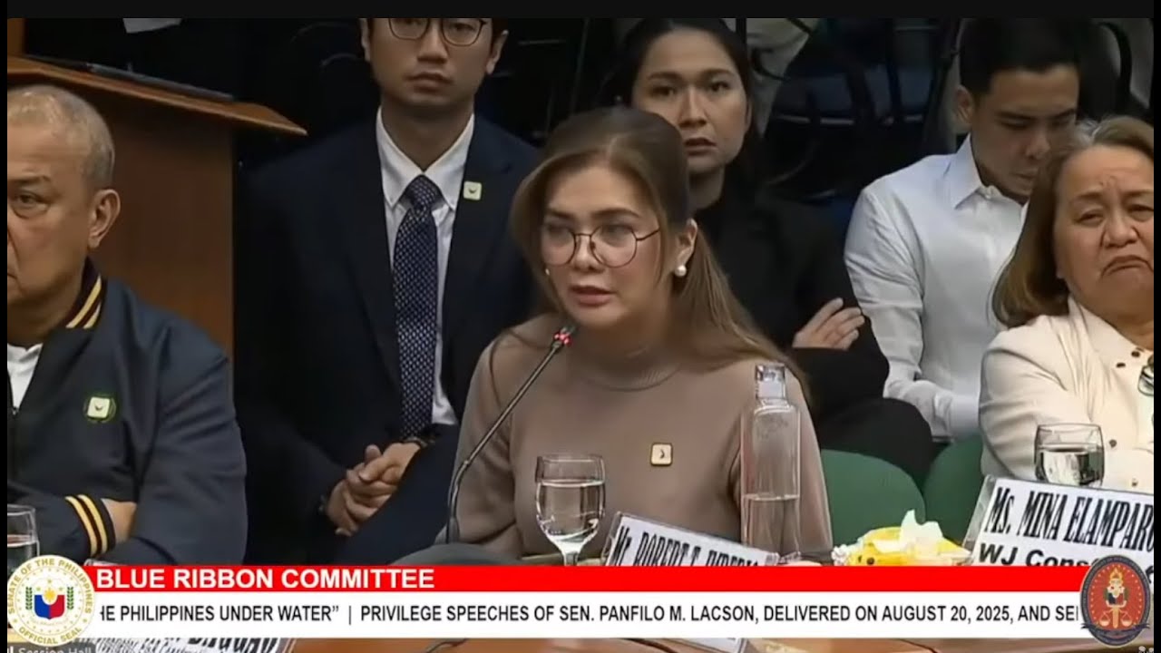 Mina Jose and Beng Ramos Tackled at Senate Blue Ribbon Hearing - YouTube