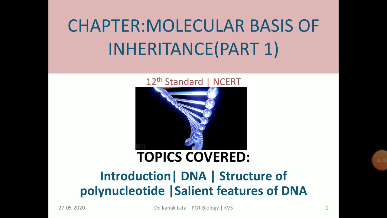 CLASS: XII LESSON: MOLECULAR BASIS OF INHERITANCE NCERT (PART 1) - YouTube