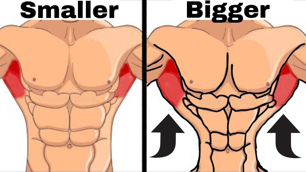 Beginner's Guide to Back Gym Workout: Strengthen and Sculpt Your Back ...