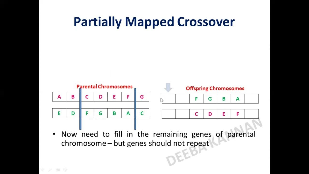 Partially Mapped Crossover in Genetic Algorithm by Deeba Kannan - YouTube