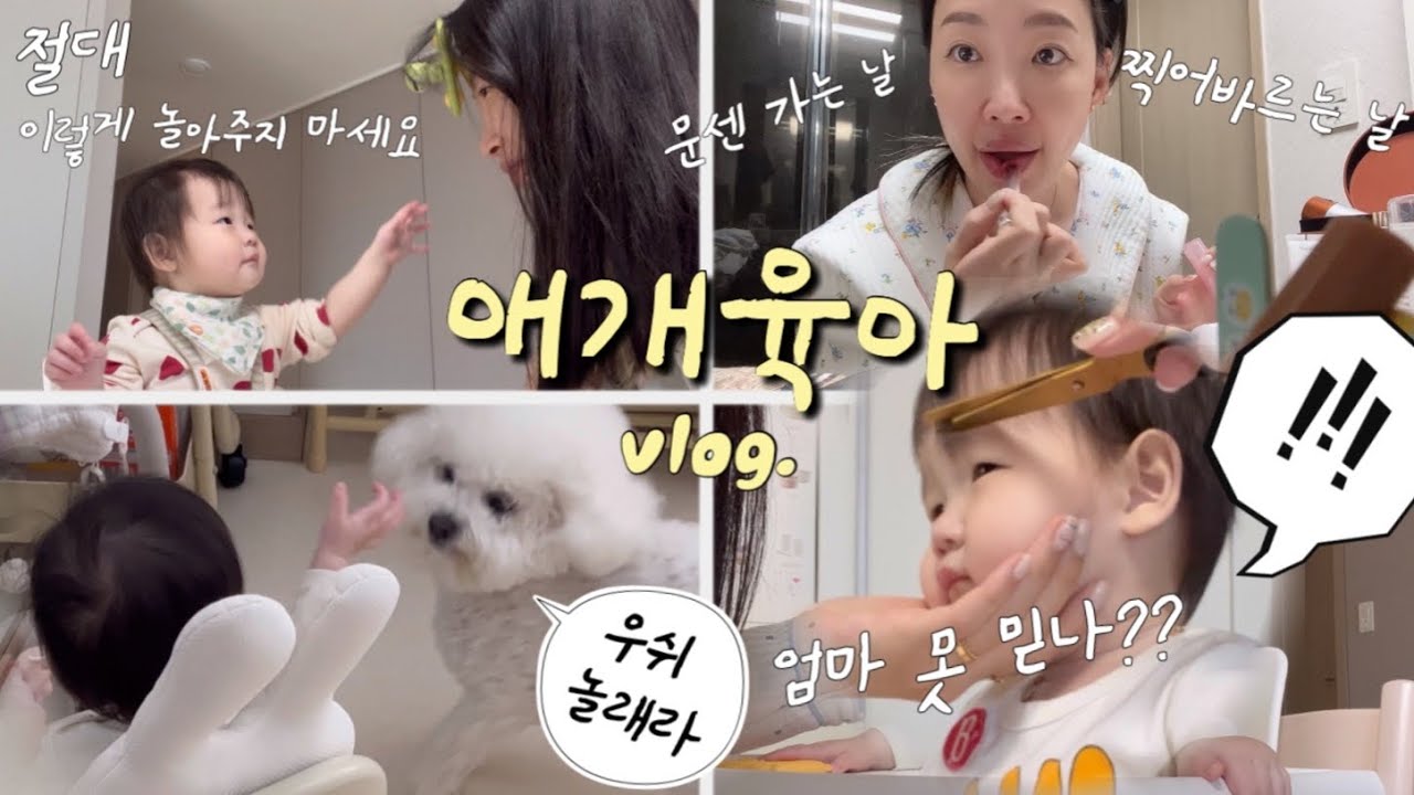 애개육아 브이로그 10개월 아기발달 아기랑 강아지랑 함께 놀기 겨울학기 문센 아기셀프미용 아기 앞머리 자르기