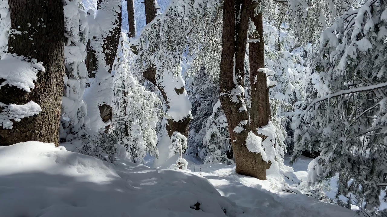 Kinnaur in winter - YouTube