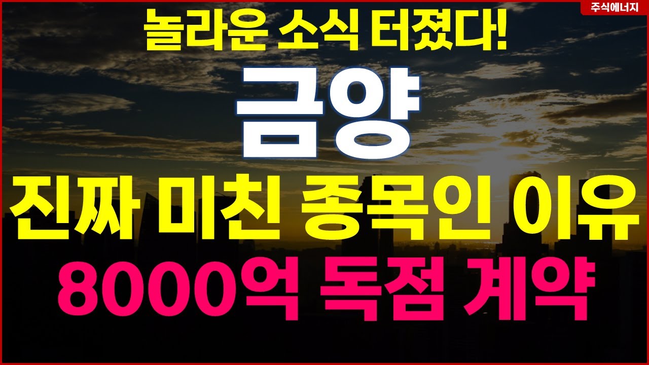 금양 진짜 미친 종목인 이유 8000억 독점 계약 놀라운 소식 터졌다 리튬 금양주가 금양주가전망 포스코케미칼 에코프로 에코프로비엠 Youtube