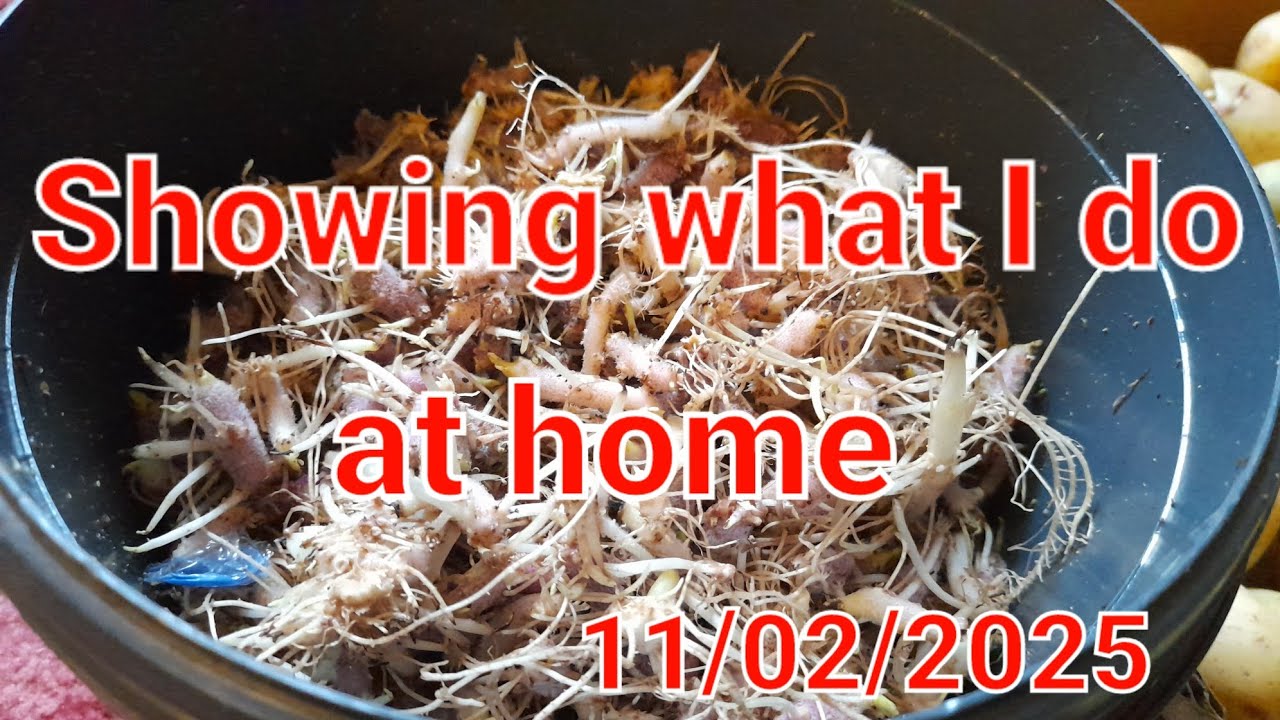 Showing what I do at home. - YouTube