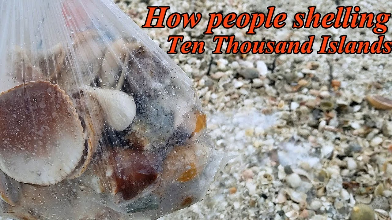 How people shelling on Ten Thousand Islands Florida - YouTube