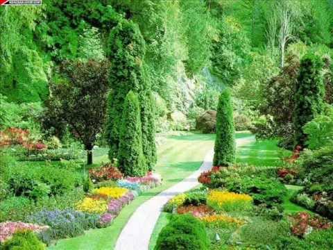 Gökçe Kaya - Dilek Taşı