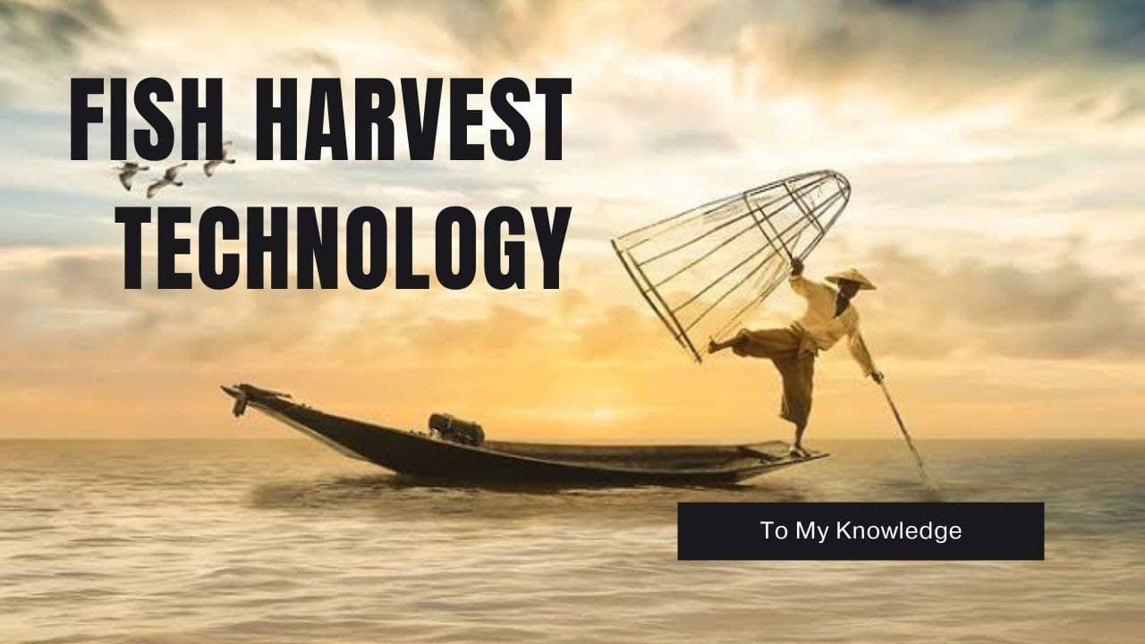 Fish Harvest Technology | Fisheries Science | Marine science ...