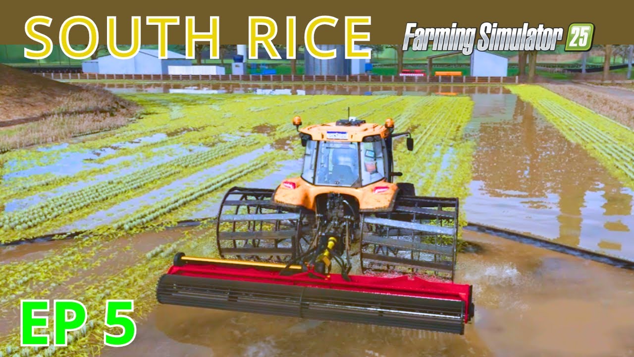 This rice field will not re-regrow - FS25 - EP 5 - South Rice - YouTube