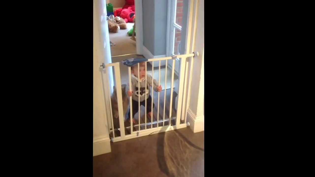 A man behind bars: Liam Alexandrou trapped behind the stair gate. - YouTube