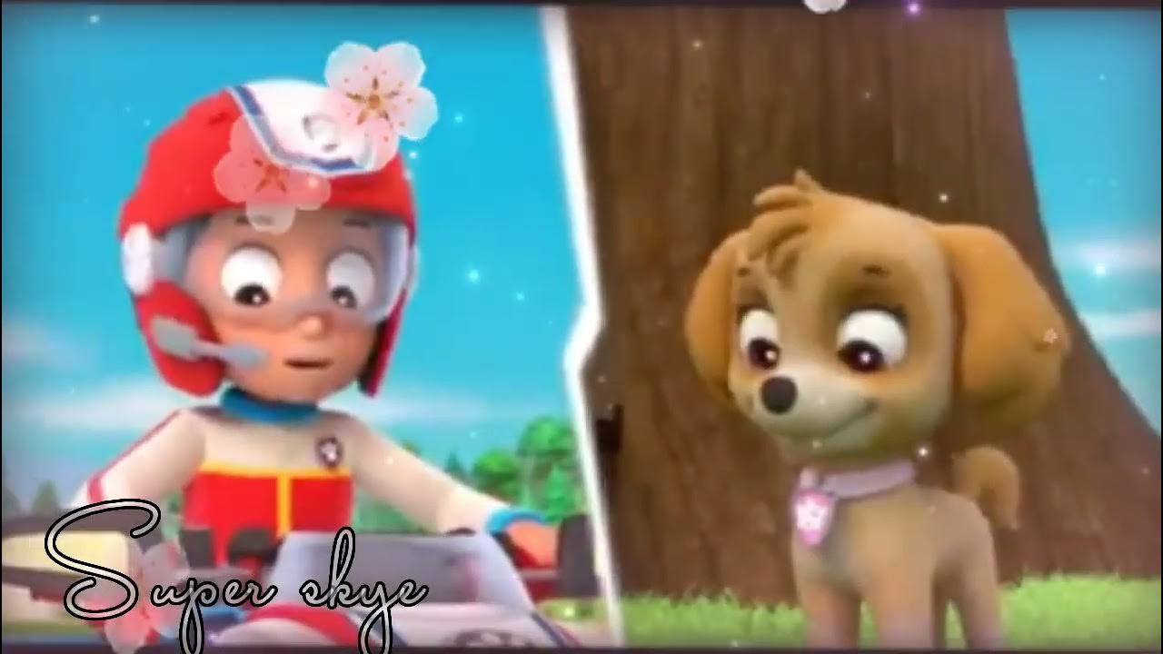 Edit Da Skye Paw Patrol Tribute Amv 🌺💮 Youtube