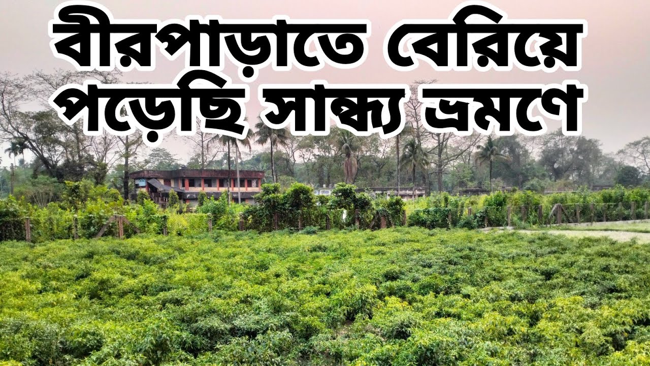 Day 2 in Alipurduar: Evening Walk in Birpara ------ Escape into Nature ...