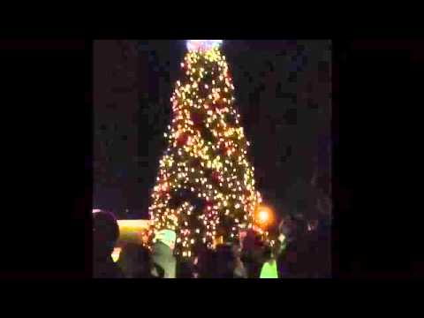 Annoying tree - YouTube