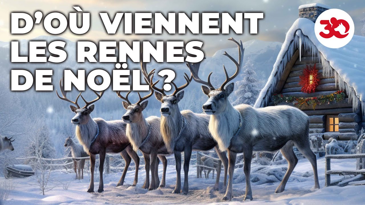 L'histoire des rennes de Noël - YouTube