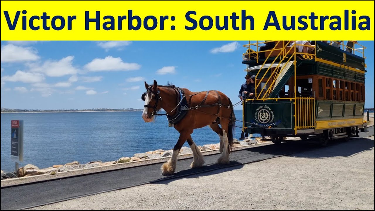 Exploring Victor Harbor: The World's Only Horse-Driven Tram - YouTube