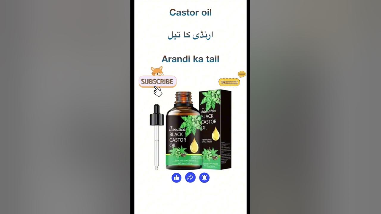 Castor Oil Pronounciation Means In Urdu Hindi arandi Ka Tail Means castor-oil-pronounciation-means-in-urdu-hindi-arandi-ka-tail-means