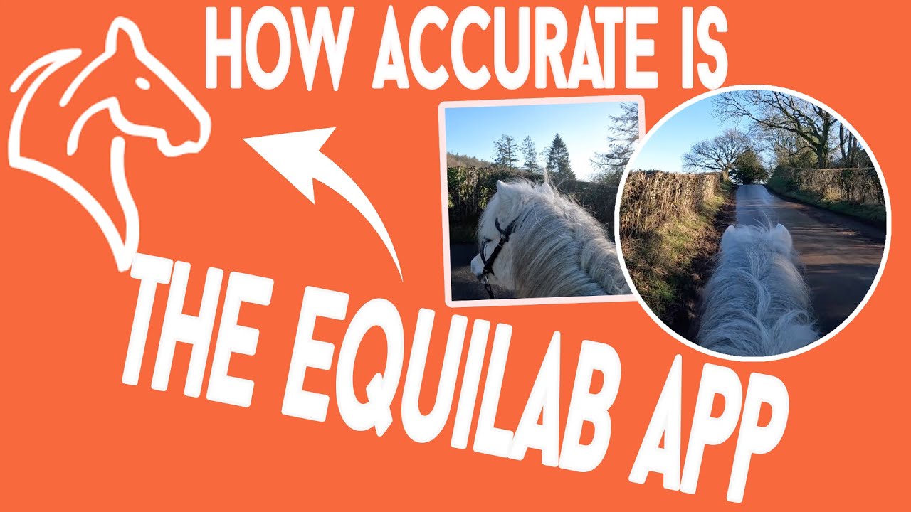 Testing How Accurate the Equilab App Is? || Equilab Equestrian Tracker ...