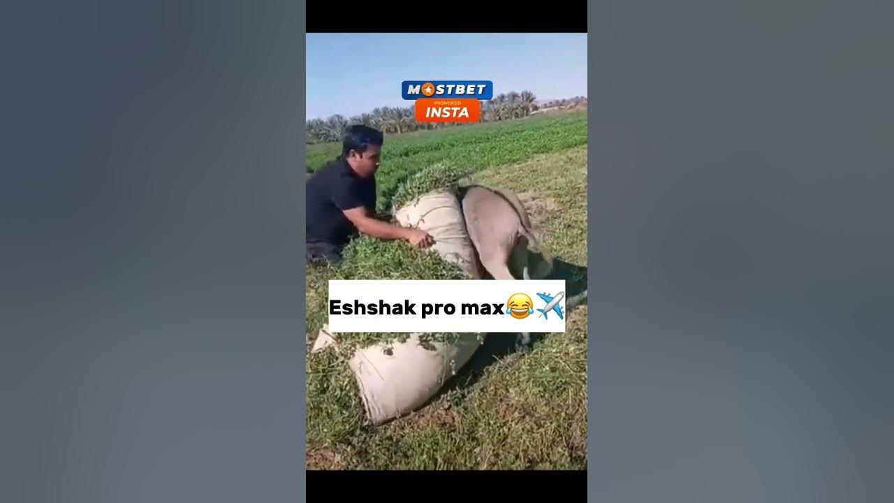 obuna bulib quying - YouTube