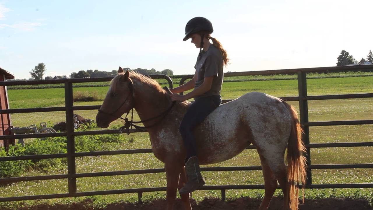 First Horse Ride - Mounting - YouTube