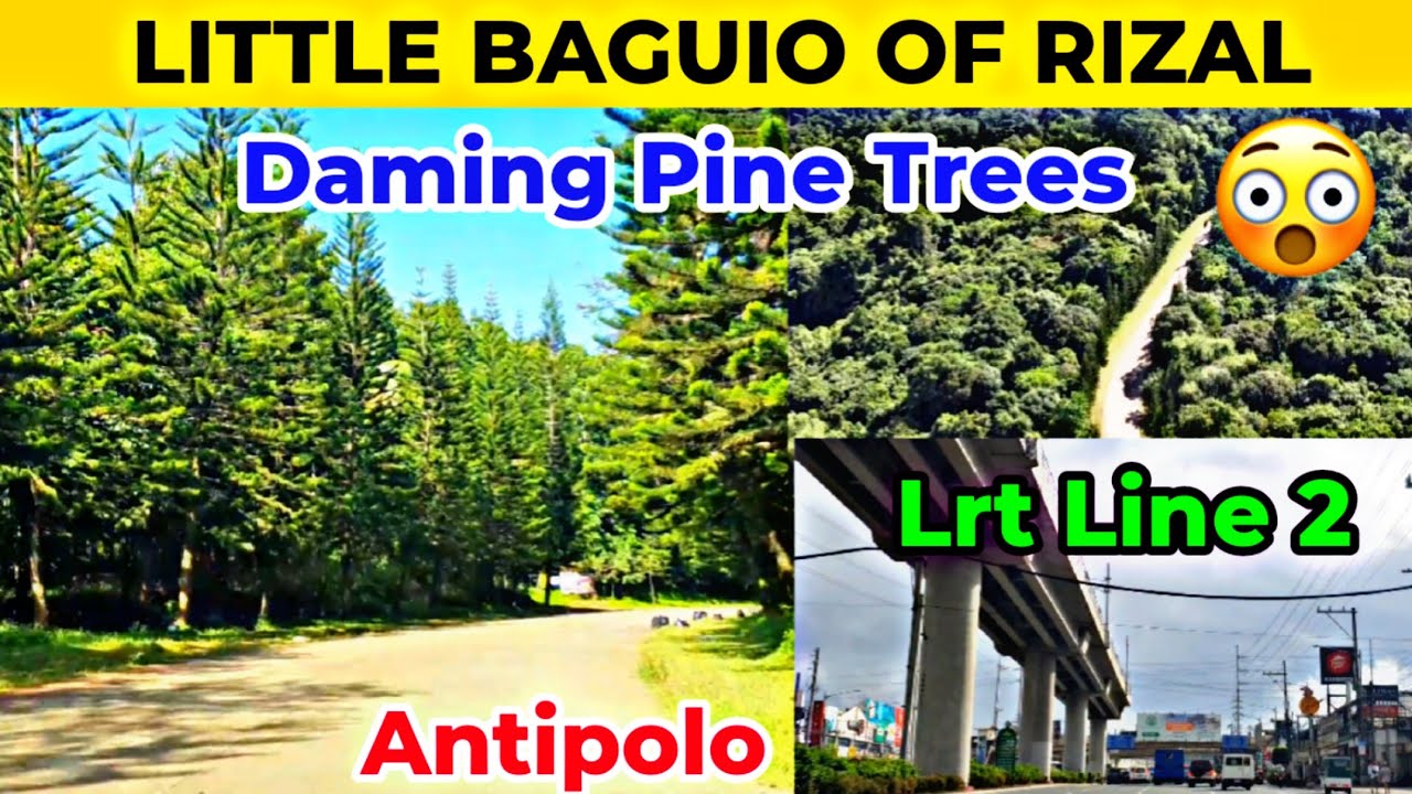 The Sapinit Rd ! Little Baguio of Rizal in Antipolo ! Malamig dito ...